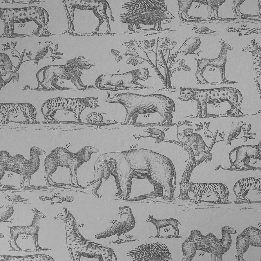 Animal Wallpaper | Designer Wallpaper Online | Wallpaper Trader
